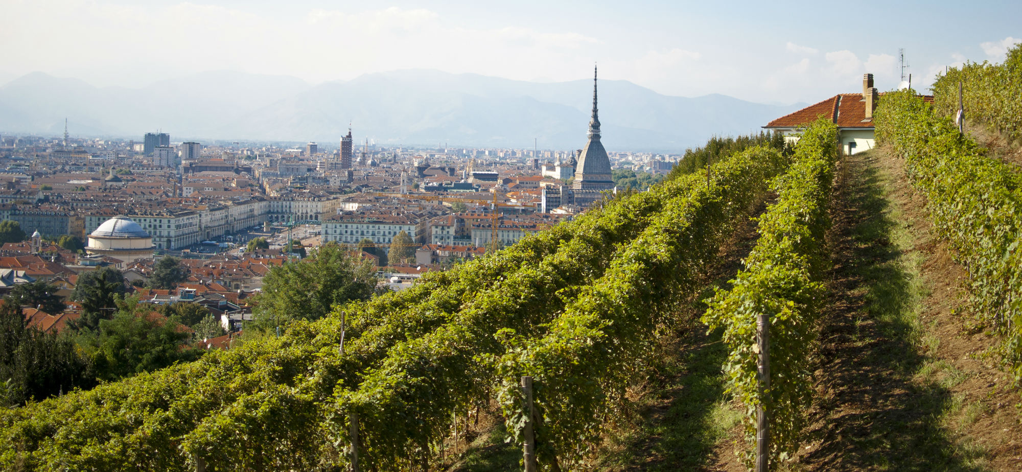 La Collina Torinese | Torino DOC